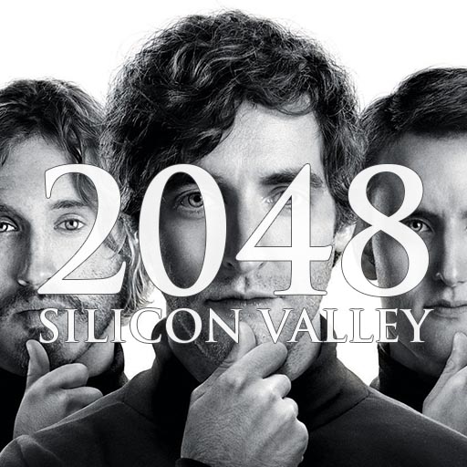 2048 Silicon Valley by Luke Weil